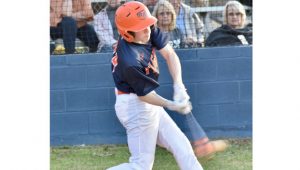Red Bay Tigers topple Vina Red Devils with 13-3 finish on diamond ...