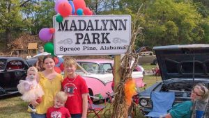 Spruce Pine enjoys addition of community park - Franklin County Times