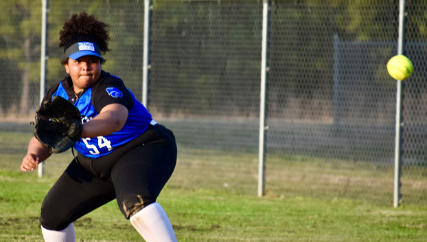 Wildcat teams get wins - Franklin County Times