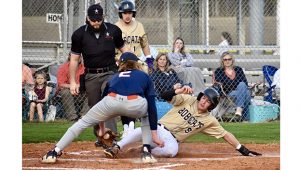 Phil Campbell Baseball Q&A with Coach Griffin Harris - Franklin County ...